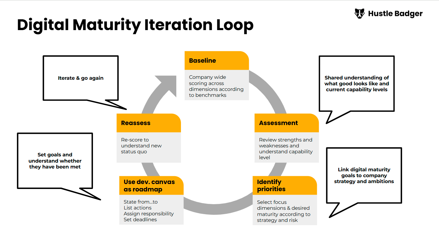 Digital Maturity Model & Guide - Hustle Badger